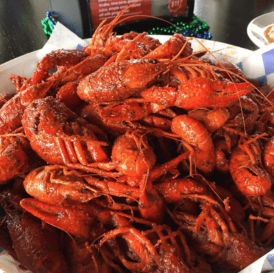 June Bugs - BB's Tex-Orleans